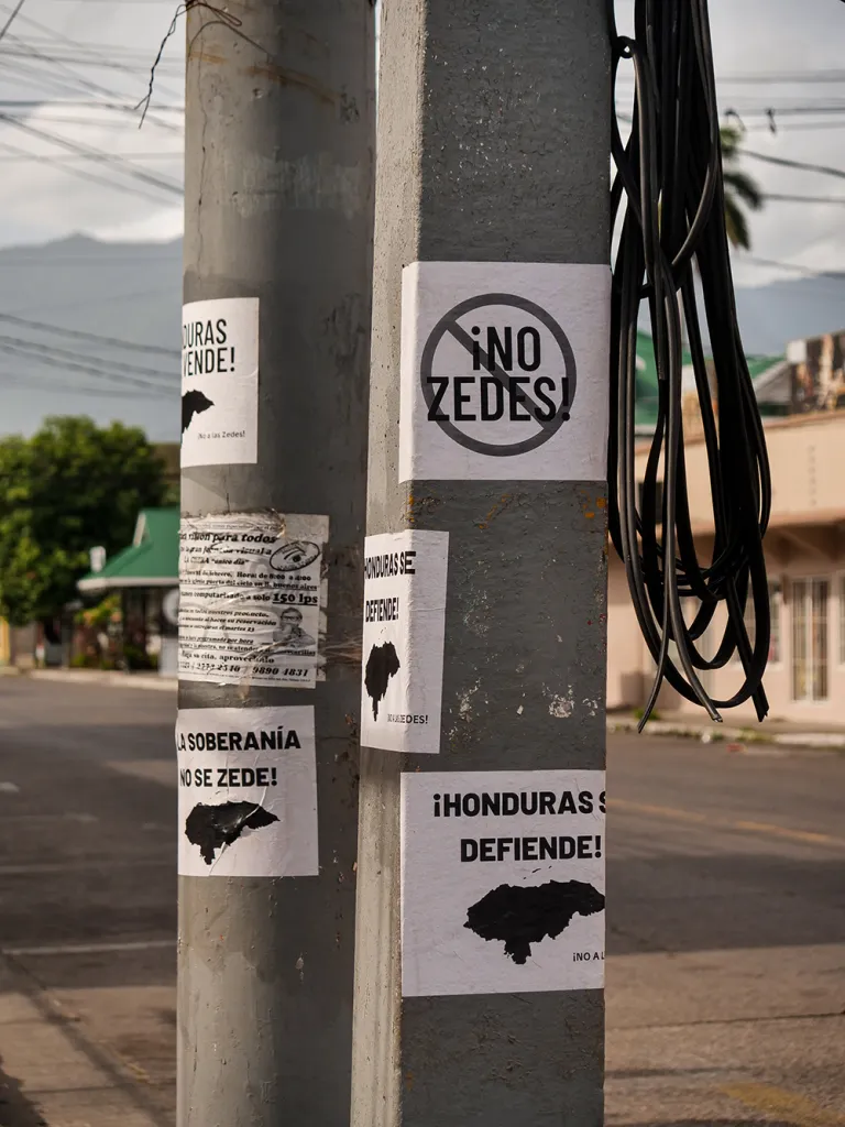 ¿Punta Gorda en la mira de las ZEDE? - Reportar Sin Miedo